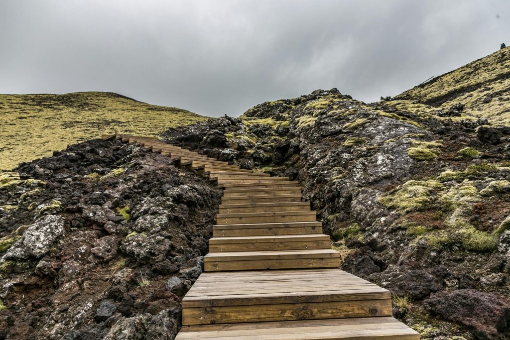 How Many Steps Should You Take Daily for Optimal Health?